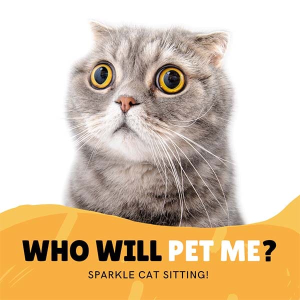 Contact | Sparkle Cat Sitting
